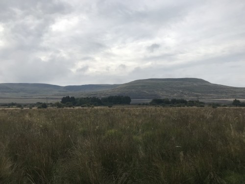 Img 3249 850gs Photo Gallery